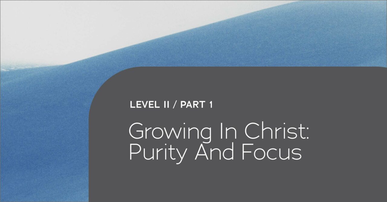 Level II - Part 1: Growing In Christ: Purity And Focus - Ministries of ...